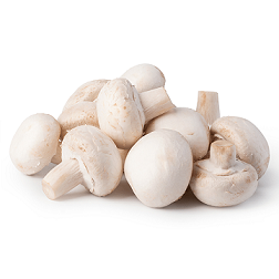 Weiße Champignons 500g – Biolaboratorium