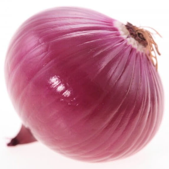 Frische rote Zwiebel BIO (ca. 1 kg) – Biolaboratorium
